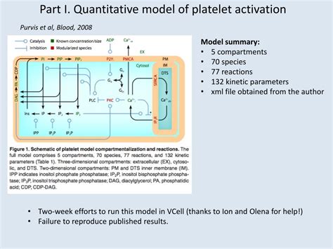 Ppt Computational Cell Biology Summer Course Powerpoint Presentation