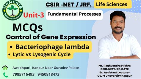 Control Of Gene Expression In Viruses Bacteriophage Lambda T4 Phage