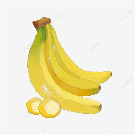 Hand Drawn Watercolor Fruit Banana Sticker Hand Draw Watercolor