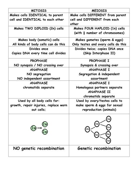 Mitosis Vs Meiosis Comparison Chart