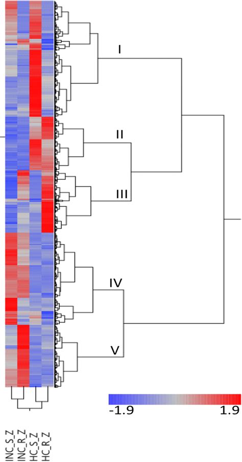a two way hierarchical clustering of the degs that were differentially