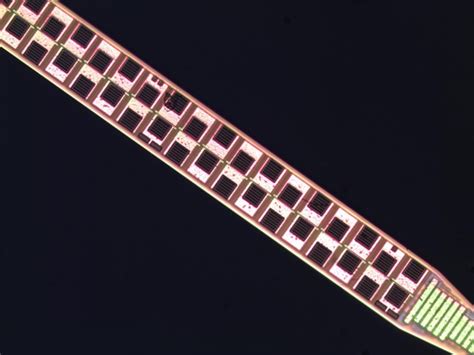 Coming Soon Routine Recording From Thousands Of Neurons The BRAIN Initiative