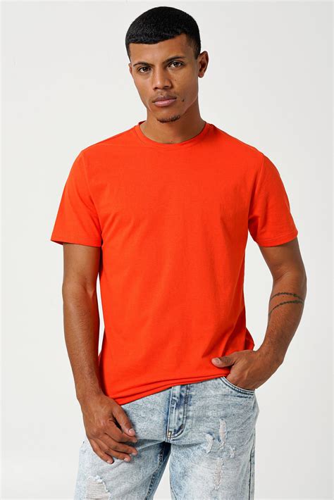 Regular Fit Crew Neck T Shirt