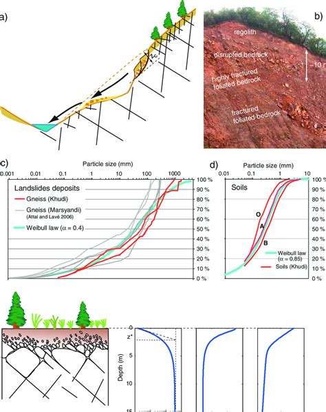 Numerical Model Conceptualization And Grain Size Distributions A Download Scientific Diagram