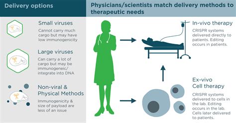 Crispr Delivery One Size Does Not Fit All Mammoth Biosciences