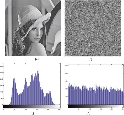 The Bit Level Permutation Effect By Generalized Arnold Map A
