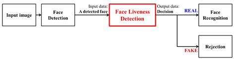 Sensors Free Full Text Face Liveness Detection Using A Light Field Camera HTML