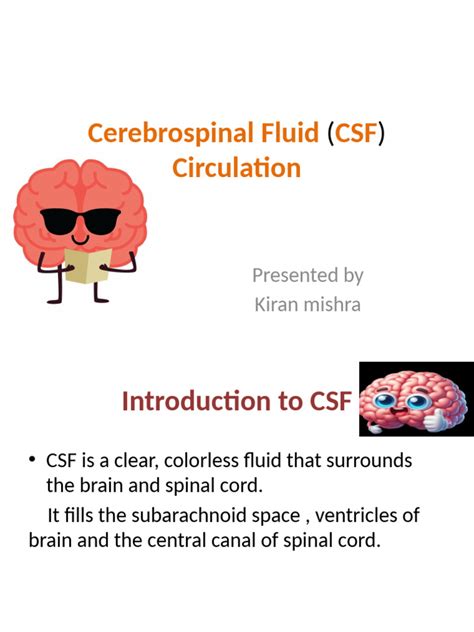 Csf Circulation Presentation Pdf Csf Circulation Presentation Pdf