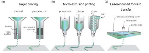 Schematic Diagram For Three Most Common 3d Bioprinting Techniques A Download Scientific
