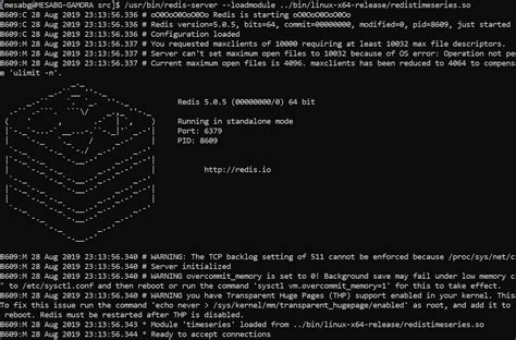 Adding Values With No Timestamp RedisTimeSeries Redis Community Forum