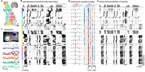 rastermap a discovery method for neural population recordings