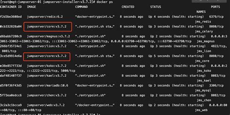 Bug 请问下一件安装后无法打开ui界面是什么情况 · Issue 11874 · Jumpserverjumpserver · Github