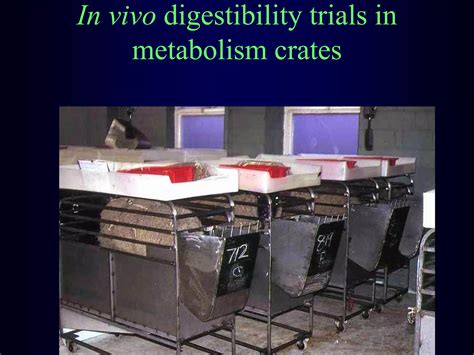 Digestibility Pptpdf