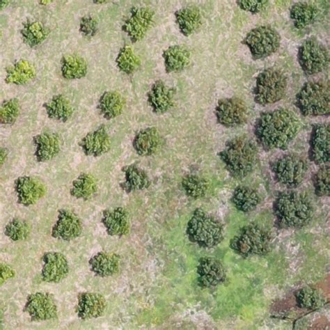 Tr33lsm006022ld2 Object Detection Dataset By Proyectos