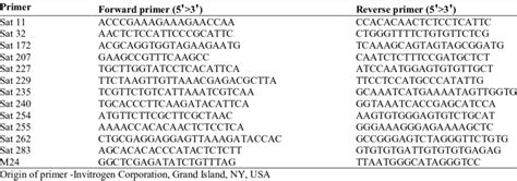 SSR Primers Information Forward And Reverse Download Table