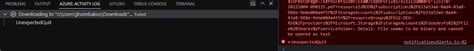 Unexpectedquit Message Trying To Download From Storage Account