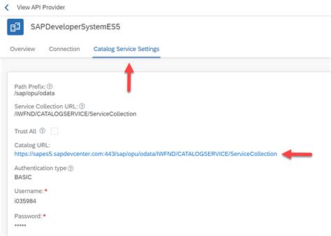 Create An Api Provider System Sap Tutorials