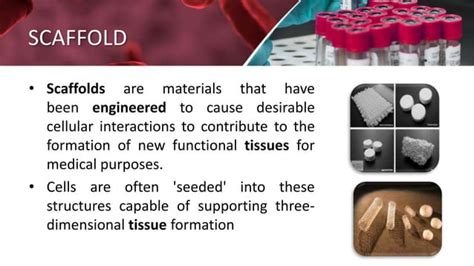 Tissue Engineering Solvent Casting Particulate Leaching And Selective Laser Sintering Pptx