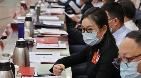 Cppcc National Committee Members Hold Group Meetings Cn