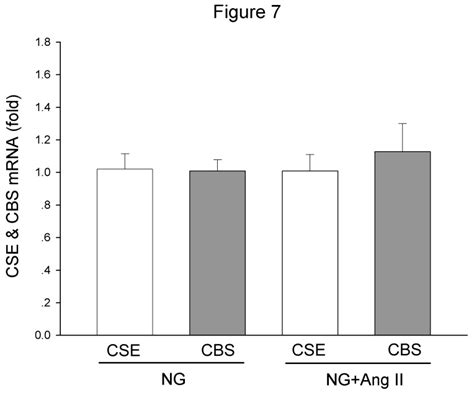 the cse and cbs mrna levels were measured by real time pcr at 24h after