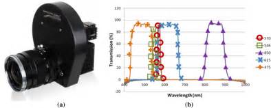 High Contrast Subcutaneous Vein Detection And Localization Using Multispectral Imaging