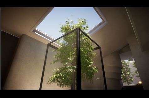 Hdrp Pine Tree