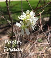Teacherdance Poetry Friday Sharing A Joy Filled Number