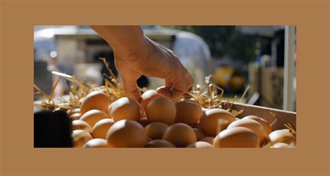 Lidl Surprises Tbwa Ldn We Are The Disruption Company