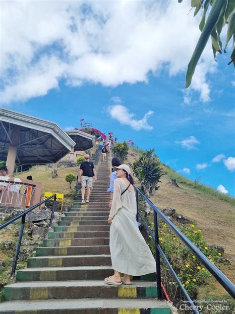 보홀 육상투어 마음대로 코스 바클레욘성당 로복강 짚라인 안경원숭이 초콜릿힐 네이버 블로그