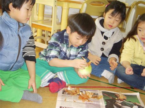 양파 키우기양파싹 기르기양파 수경재배양파싹 틔우기 ┏한결농장 공개┓ 한결어린이집