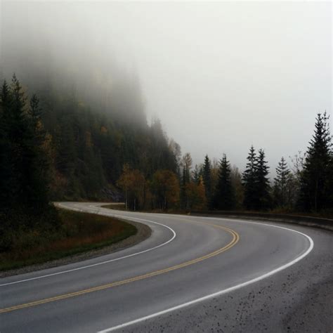 Focus On Composition The S Curve
