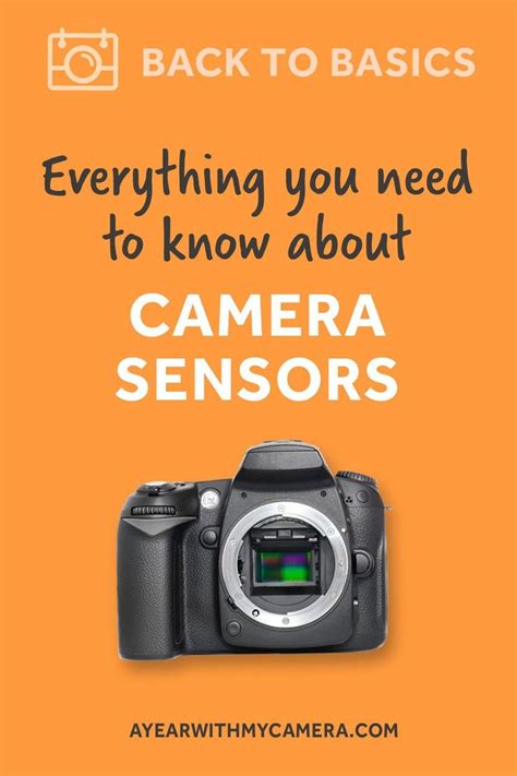 Camera Sensors Explained — A Year With My Camera