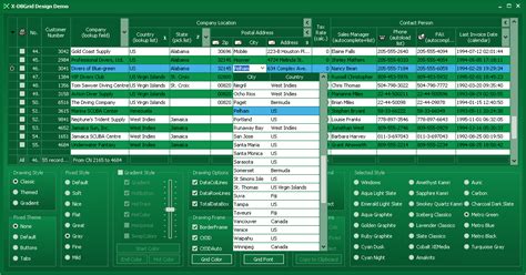 x files components x dbgrid and x dbnavigator components for