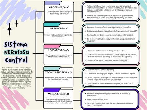 Snc General Pdf Valentina Lozada UDocz