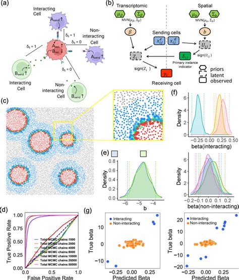 mapping cellular interactions from spatially resolved transcriptomics