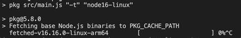 pkg with the wrong target · issue 1707 · vercel pkg · github