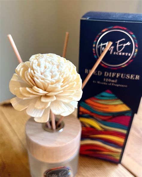 Reed Diffuser Refills 120ml Refill With Reeds Teddy Eva Scents