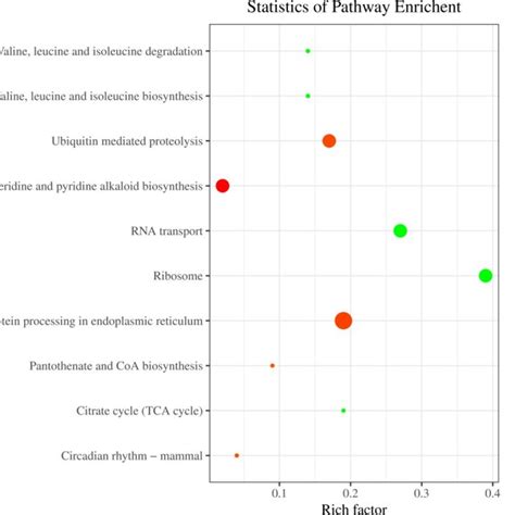 kegg analysis of differentially expressed circrna s host genes download scientific diagram
