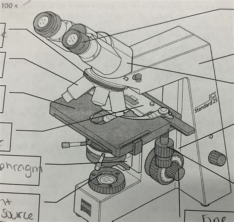 Compound Microscope Diagram Quizlet