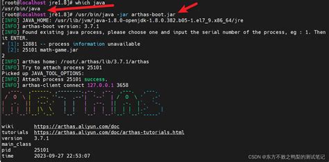 性能测试监控 java分析工具arthas arthas查看gc次数 csdn博客