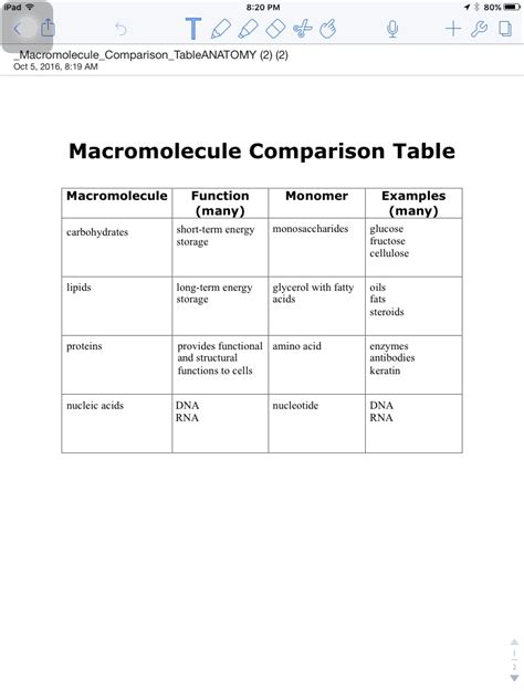 6 Pics Macromolecule Comparison Table Answers And View Alqu Blog