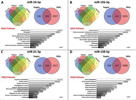 Supplementary Fig S1 Target Prediction Analysis For The Upregulated