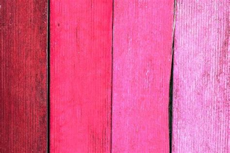 Fuchsia Color Learn About The Hues Of The Fuchsia Color