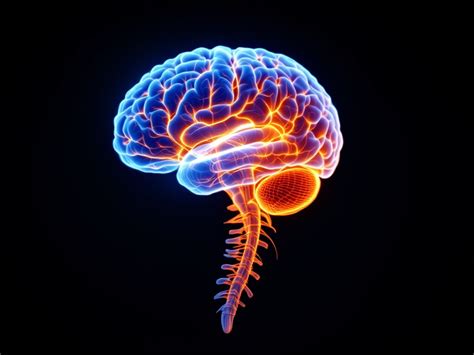 Ependymoma Md Searchlight