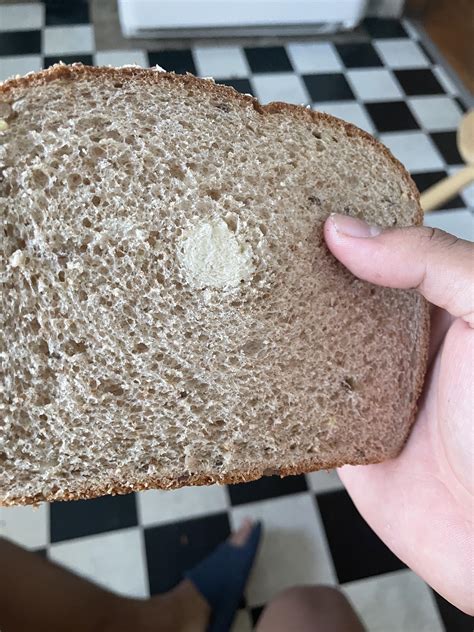 White Bread Mold Premium Photo One Slice Of White Bread With Mold