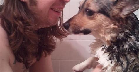 Happy Fun Corgi Bath Time Imgur
