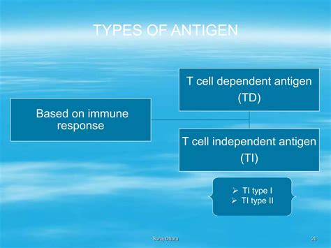 Antigen Immunology 1 Pptx