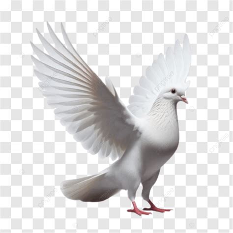 배경에 고립된 흰색 비둘기 날개를 가진 날아다니는 새 생성 생성 Ai 확산 흰색 배경에 고립된 흰색 비둘기 날개를 가진
