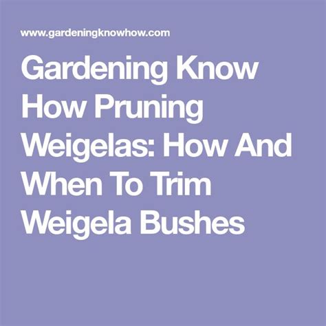 Trimming Weigela Tips For Pruning Weigela Bushes Weigela Bush Prune Bush