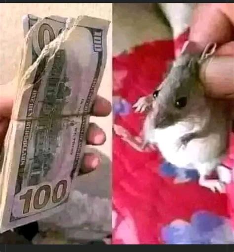 Madol Alier Posted On Linkedin